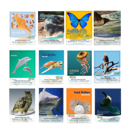 Alligator Unit Study - Louisiana - Adventure Homeschool Award Winning ...