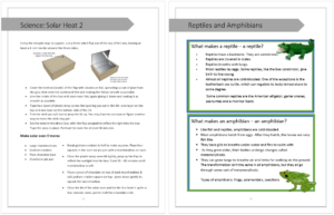 Alligator Unit Study - Louisiana - Adventure Homeschool Award Winning ...